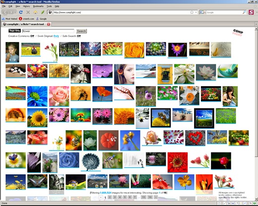 Flickr Search Tool