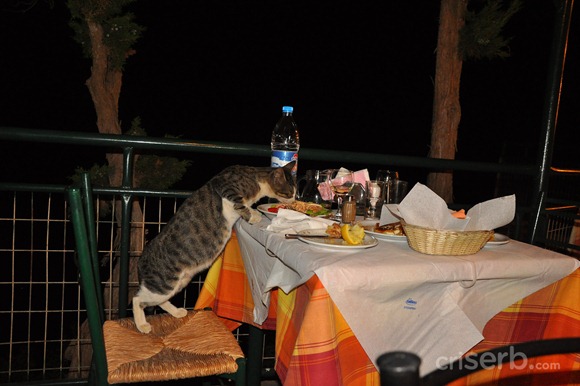 Grecii sunt lenesi